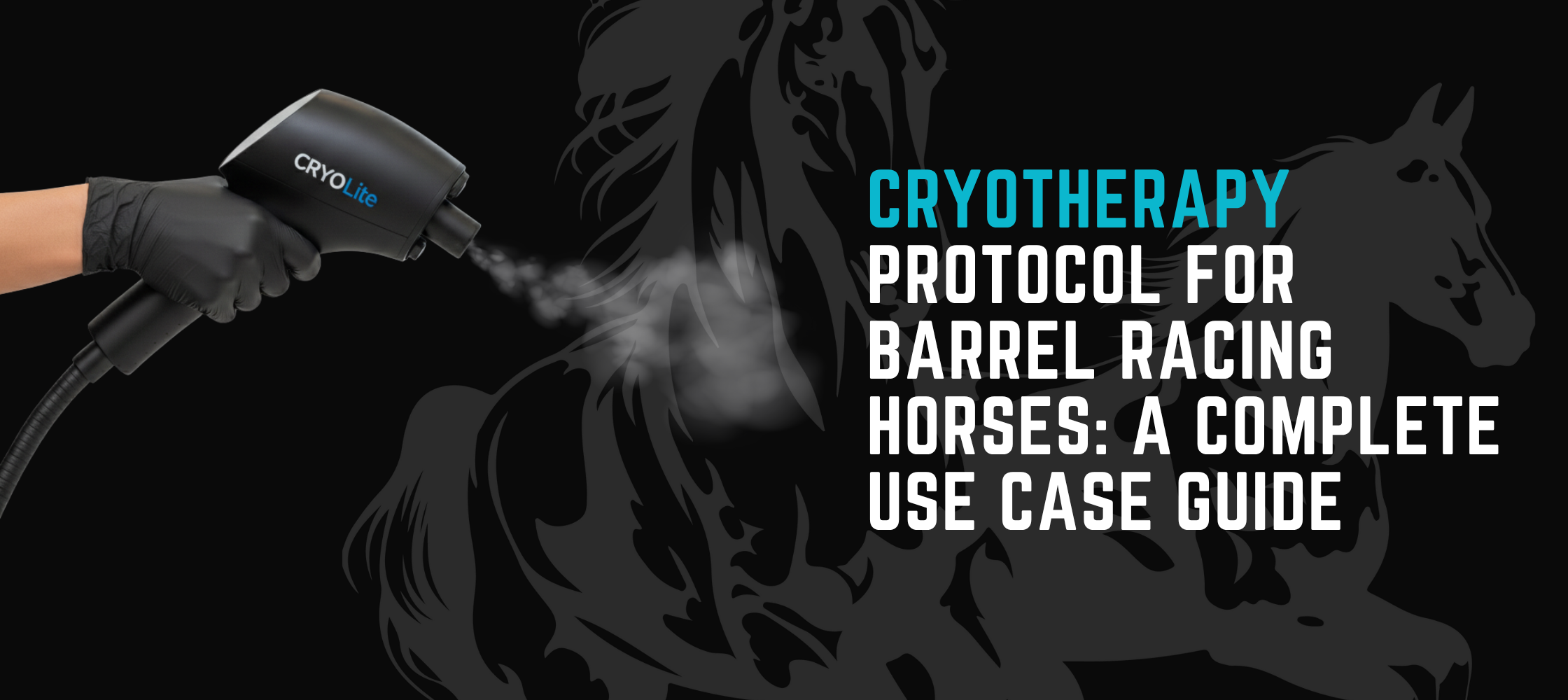 Cryotherapy Protocol for Barrel Racing Horses – CryoLiteUSA