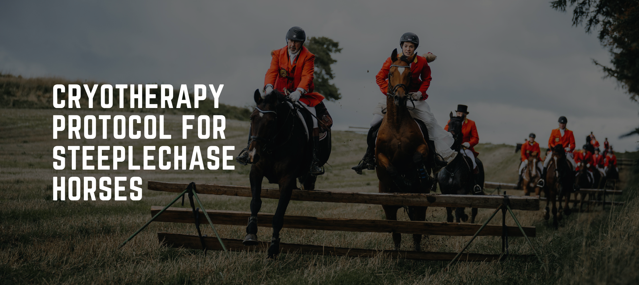 Cryotherapy Protocol for Steeplechase Horses – CryoLiteUSA