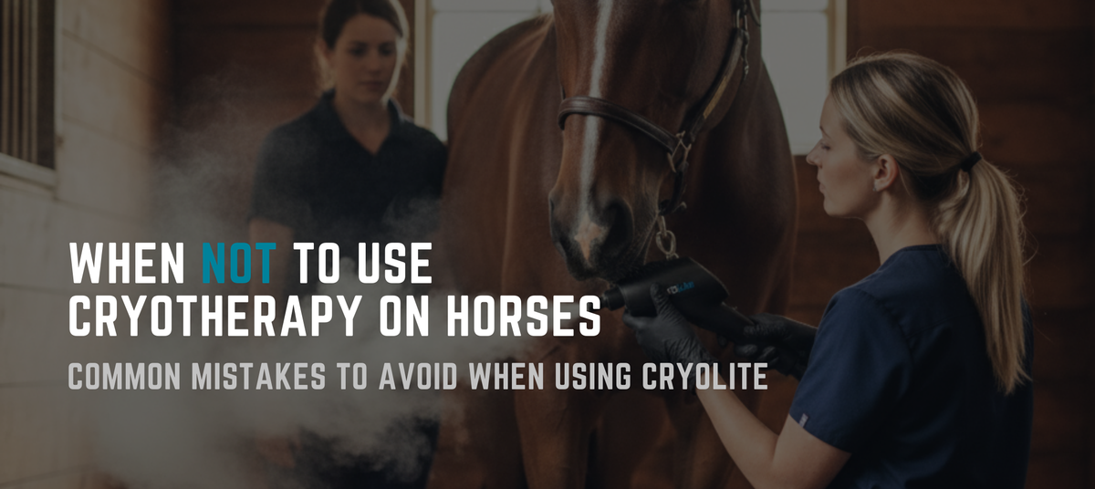 When NOT to Use Cryotherapy on Horses – CryoLiteUSA